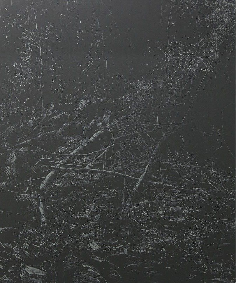 PETER EASTMAN | TANGLED HIERARCHY | | Everard Read Gallery Johannesburg