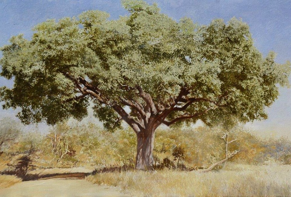 Home | Everard Read Gallery Johannesburg